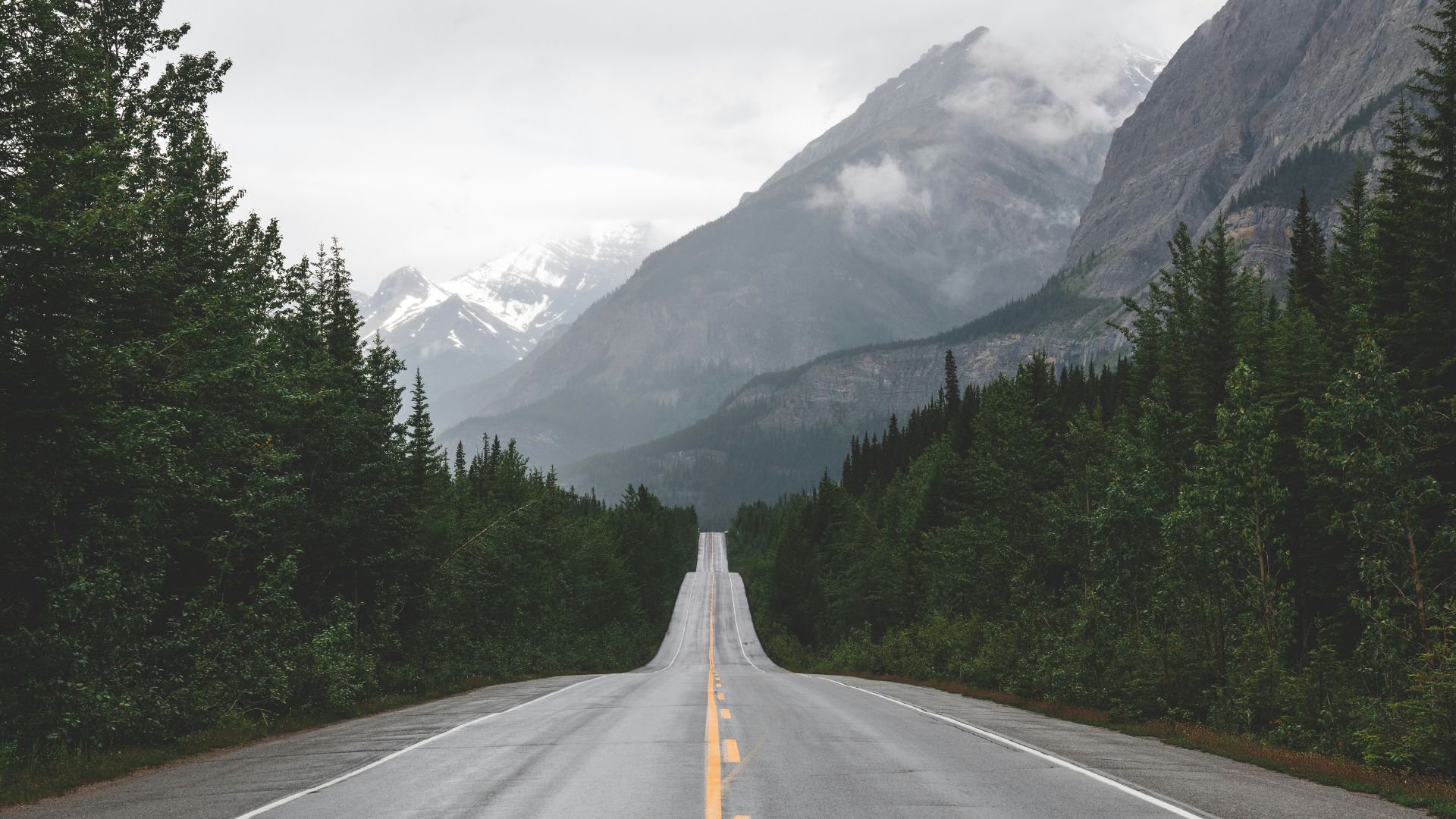 Enhancing the Donor Experience with Blackbaud’s New RENXT Donation Form