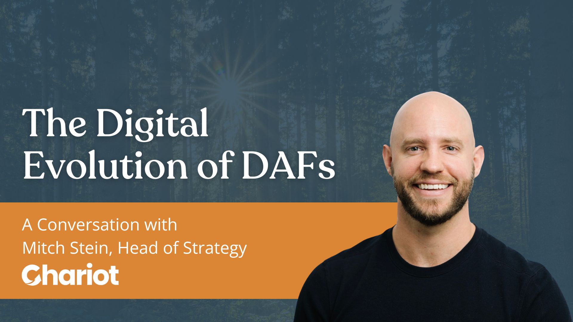 The Evolution of DAFs: A Conversation with Chariot's Mitch Stein